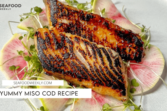 Types of Scales in Fishes: Guide & Insights