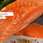 Everything You Need To Know About Porgy Fish