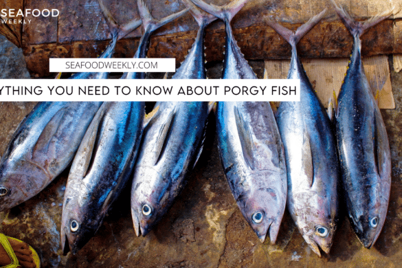 Delicious Porgy Fillet Recipe