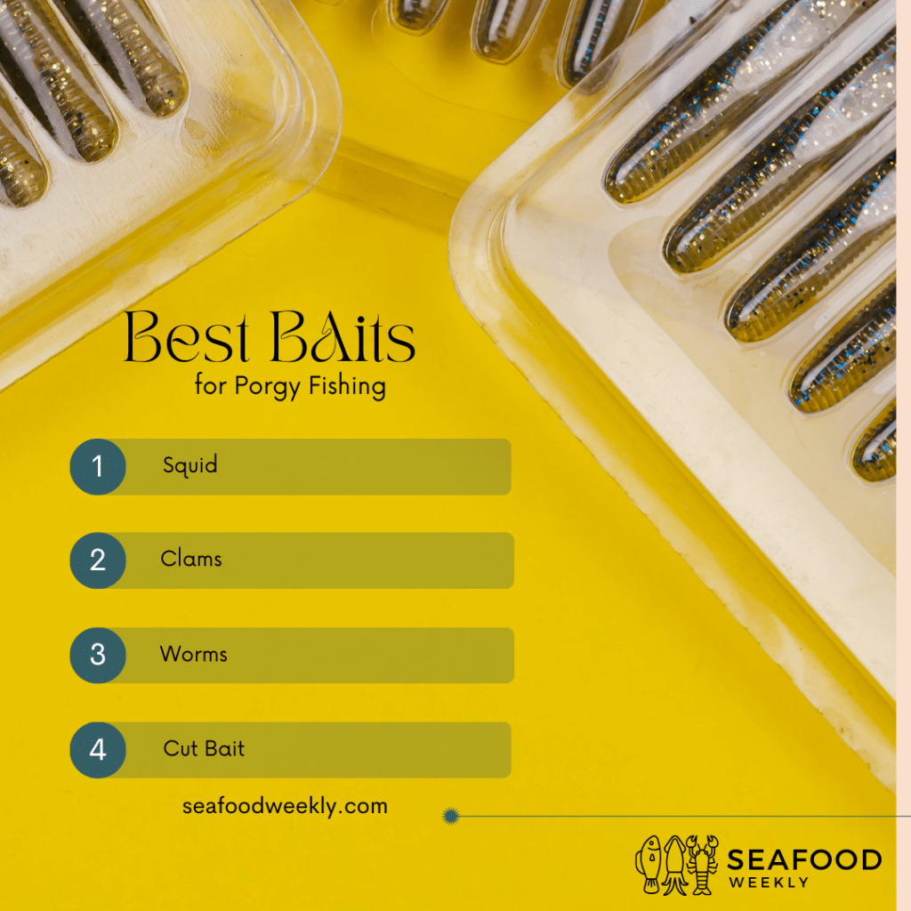 How to Catch Porgies using Fishing Bait?