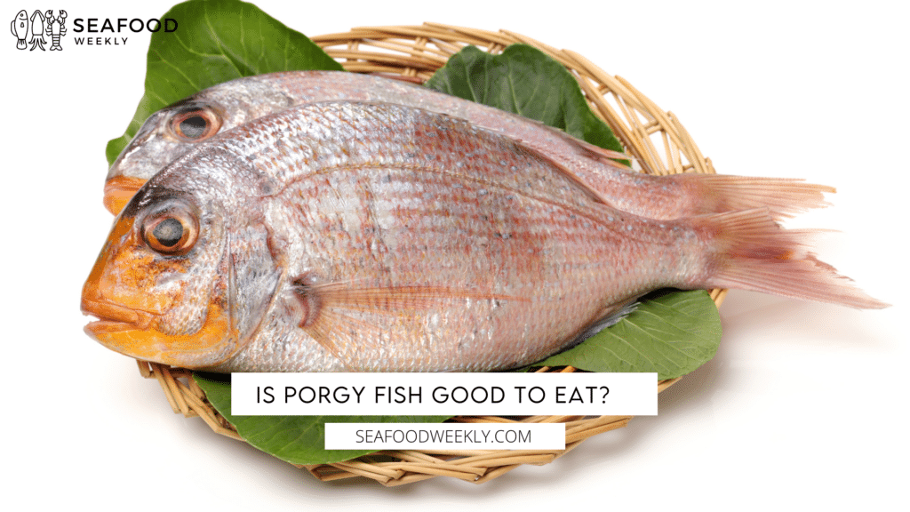 Is Porgy Fish Good to Eat?