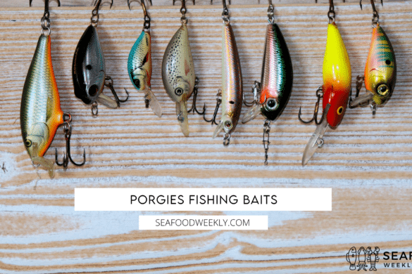 Delicious Porgy Fillet Recipe