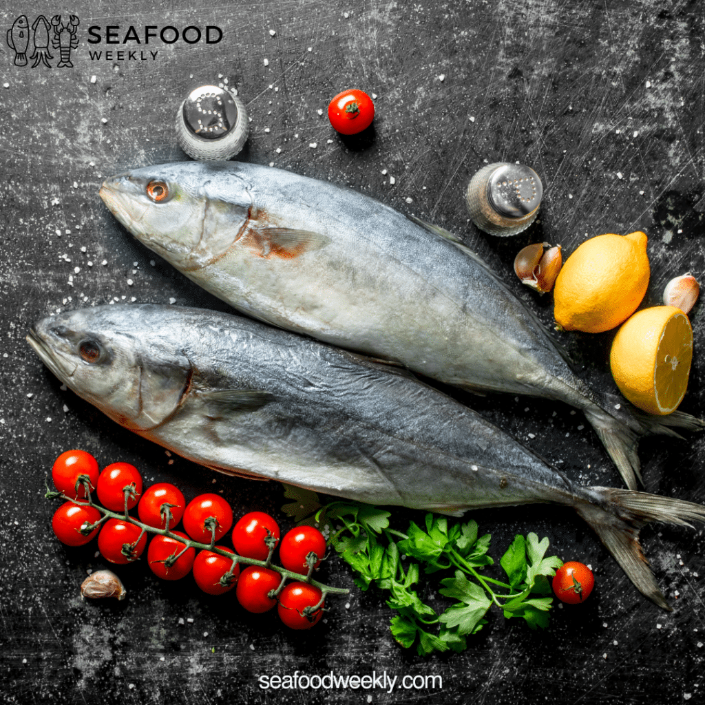 Is Porgy Fish Good to Eat?