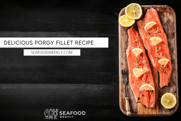 Everything You Need To Know About Porgy Fish